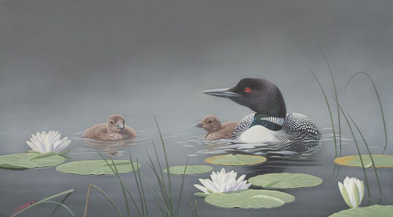 Original Wildlife Paintings by Artist Clinton Jammer