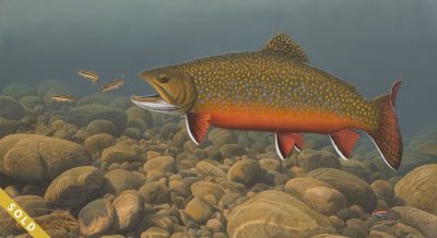 Original Wildlife Paintings by Artist Clinton Jammer