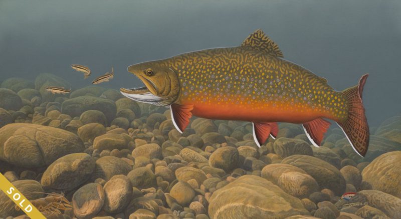 Original Wildlife Paintings by Artist Clinton Jammer