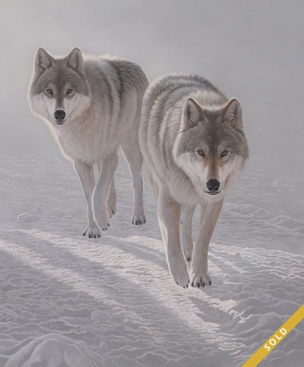 Grey Ghosts | Wolf Paintings