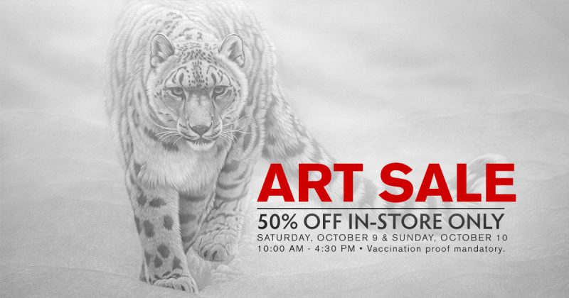 Clinton Jammer – Canadian Wildlife Artist