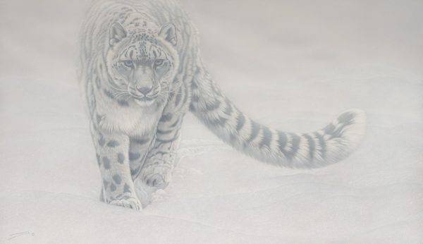 Original Wildlife Paintings by Artist Clinton Jammer