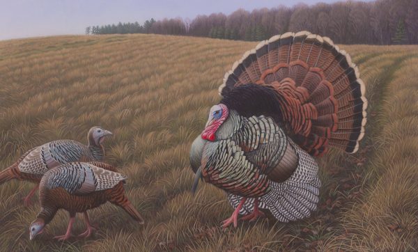 Heart of Nature Gallery | Your Muskoka Art Gallery